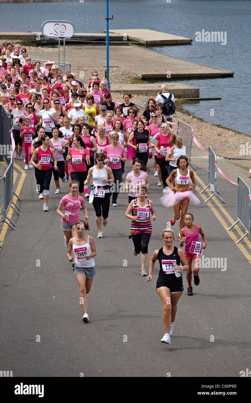 Cancer research charity hi-res stock photography and images - Alamy