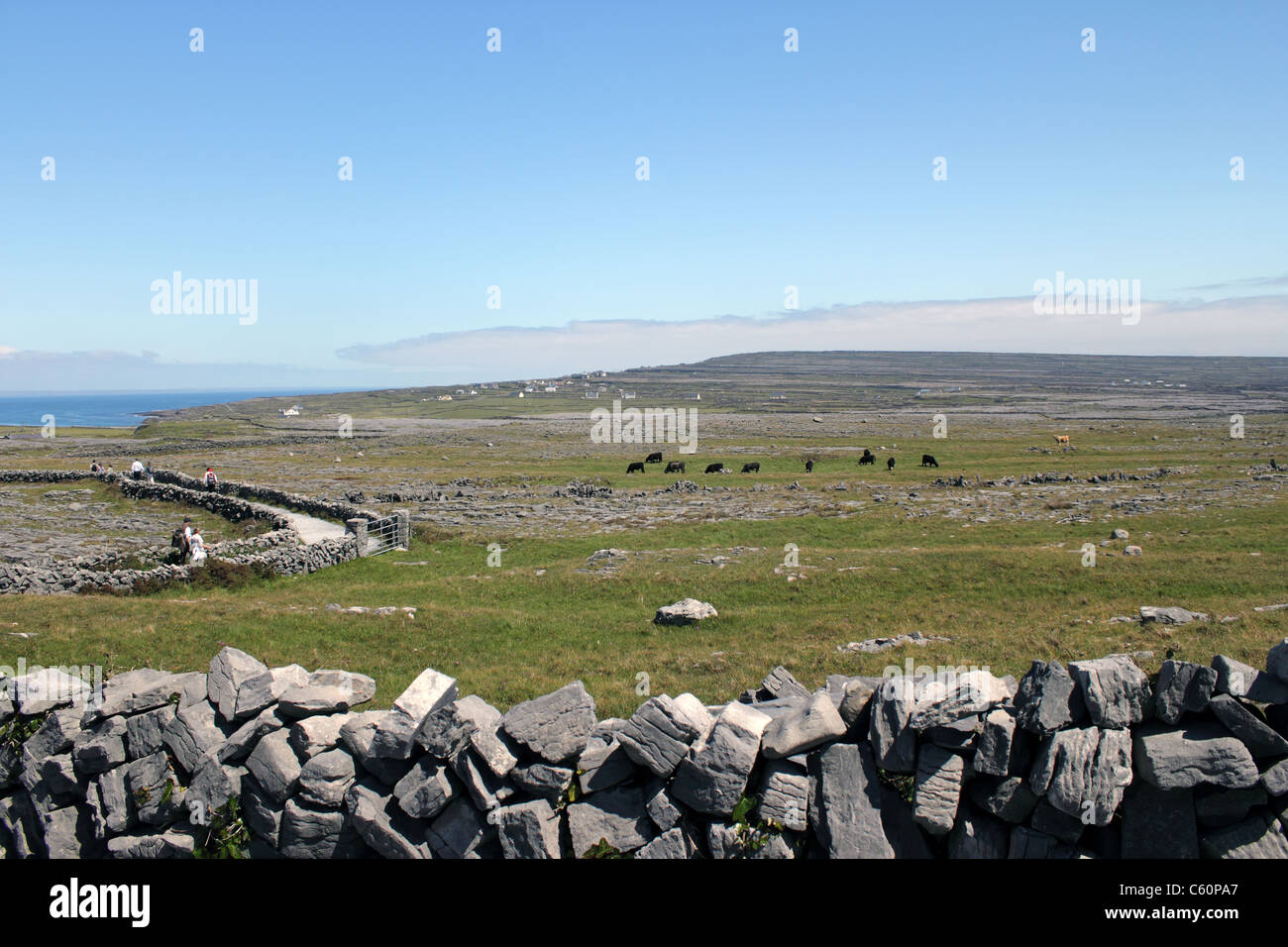 Karst landscape around Dun Aonghasa, Inishmore, the largest of the Aran ...