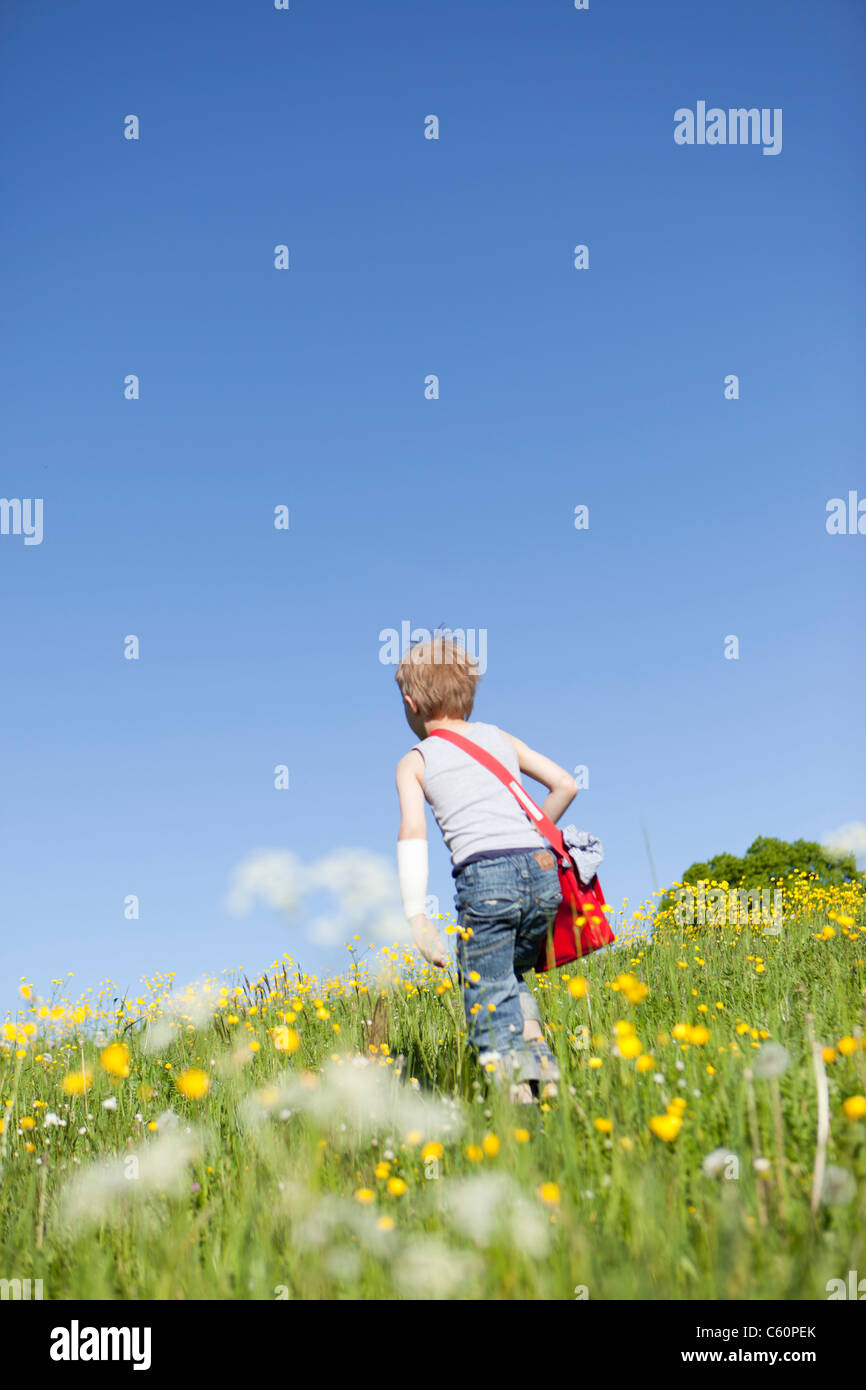 Boy walking through field of flowers Stock Photo - Alamy