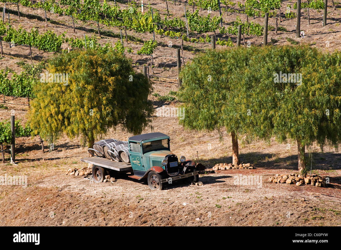 Old fashioned vineyard hi-res stock photography and images - Alamy