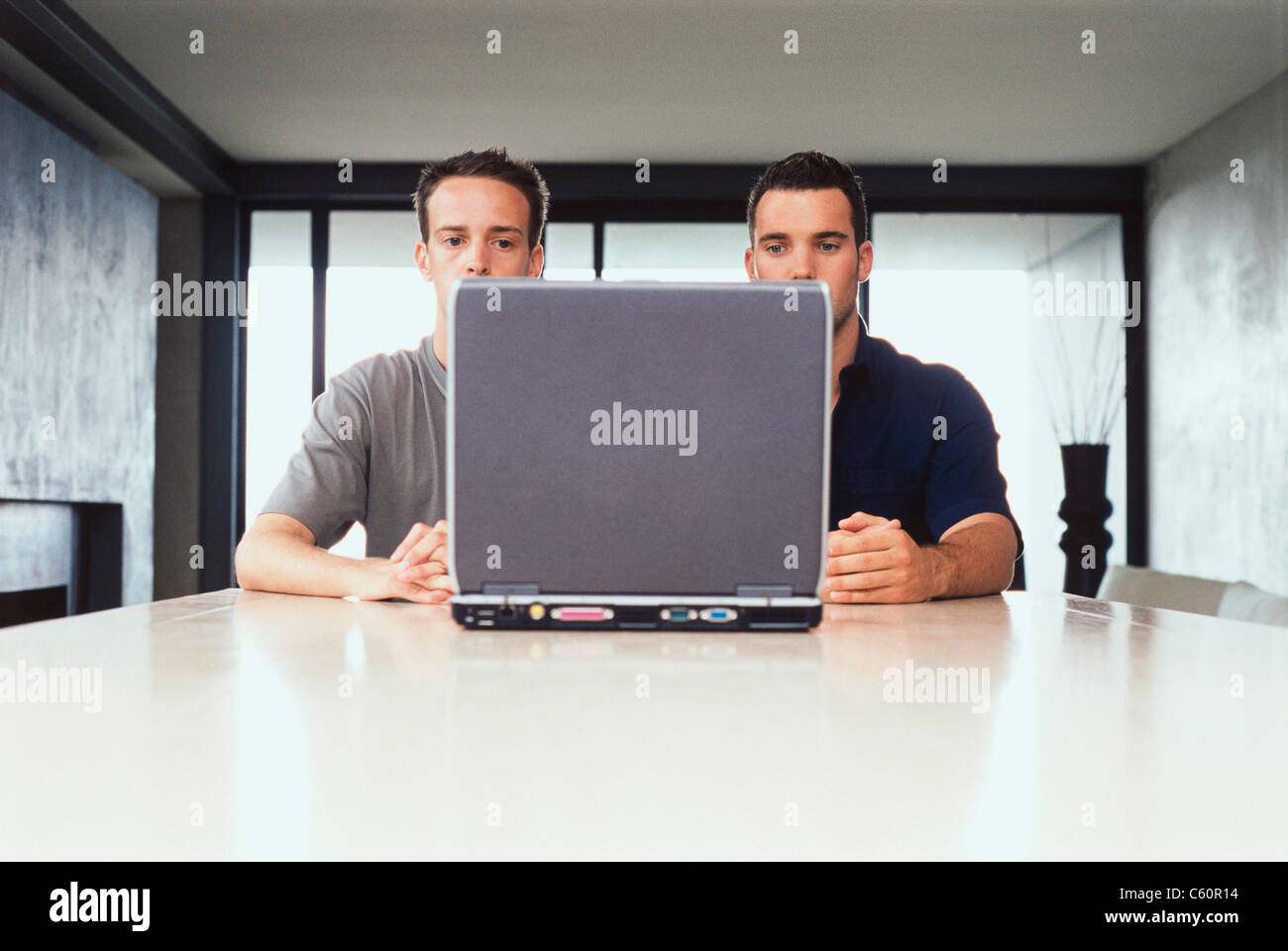 Businessmen using laptop together Stock Photo - Alamy