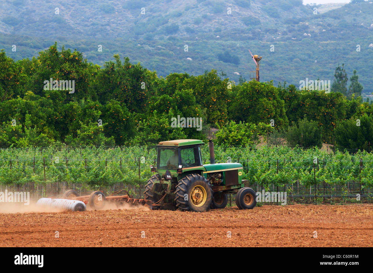 Tractor cultivating field Stock Photo - Alamy