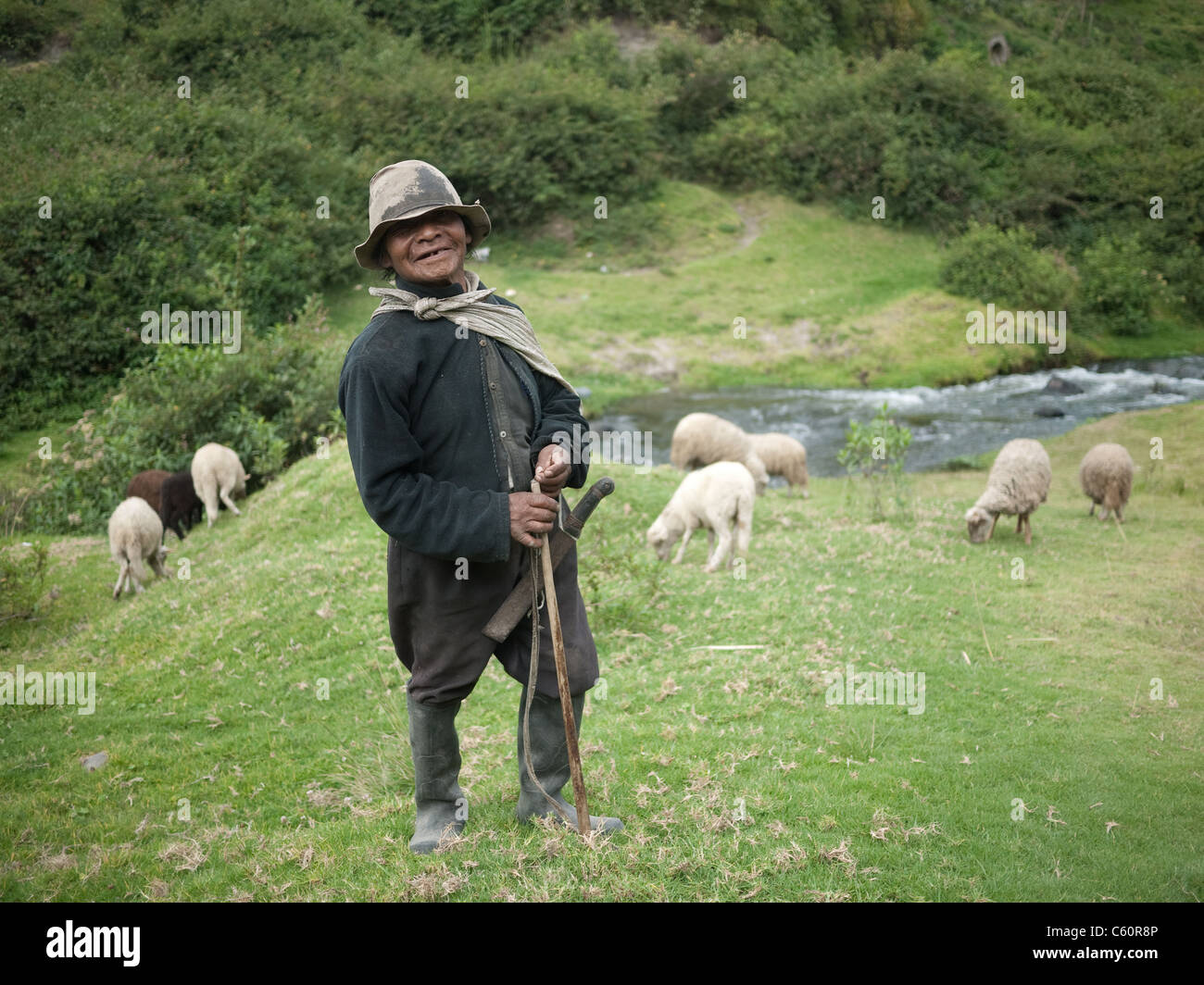 Shepherd and his sheep Stock Photo - Alamy