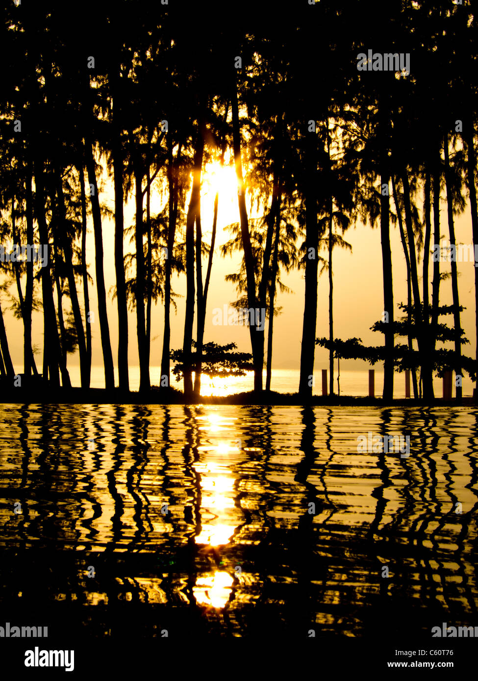 Dream sunset at a swimming pool with the sun shine through palm trees ...