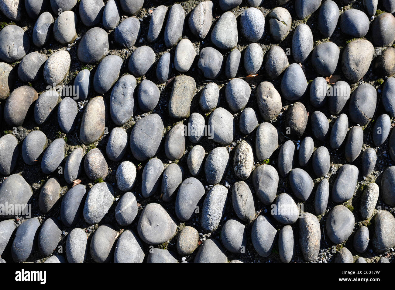 Many blue pebbles ground texture Stock Photo - Alamy