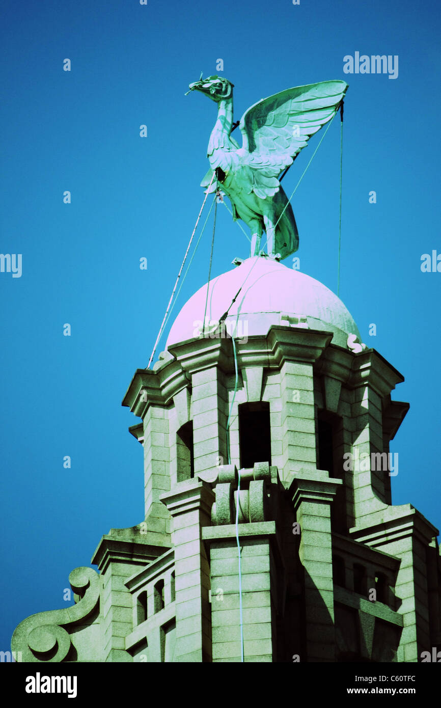 Liverpool emblem hi-res stock photography and images - Alamy