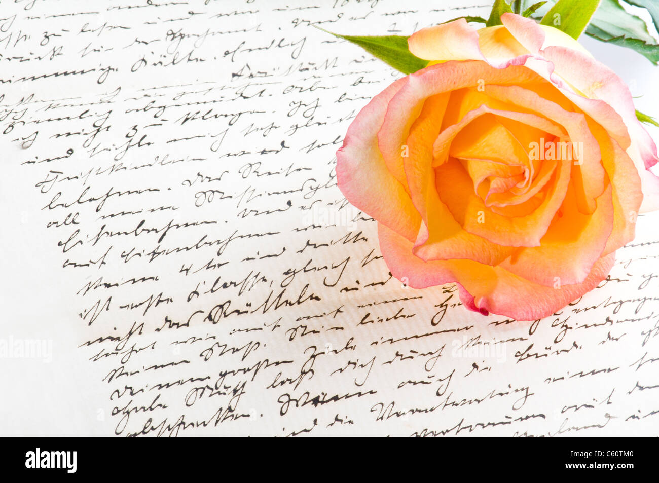 Red yellow rose over a hand written love letter Stock Photo - Alamy
