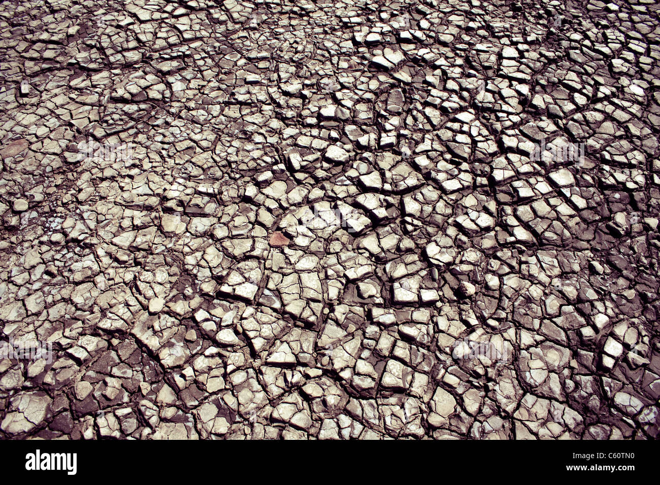 Dry & cracked riverbed Stock Photo - Alamy
