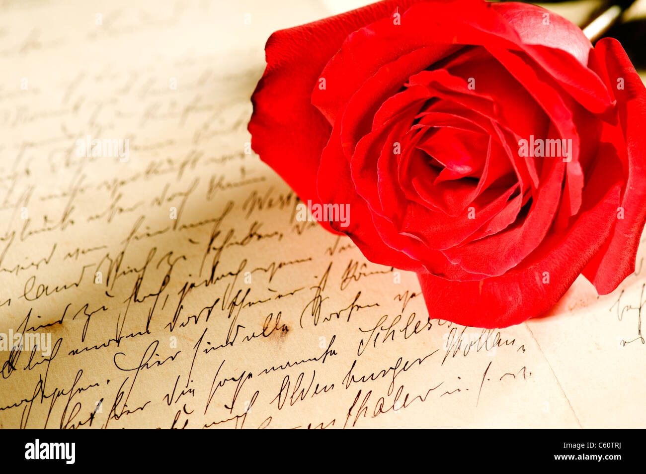 Red rose over a hand written love letter Stock Photo - Alamy