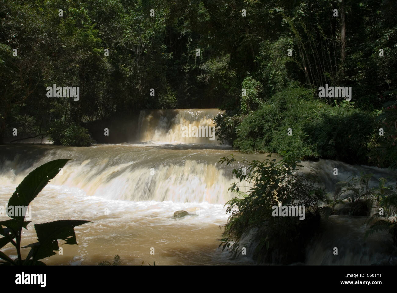 YS Falls, St Elizabeth, Jamaica Stock Photo - Alamy