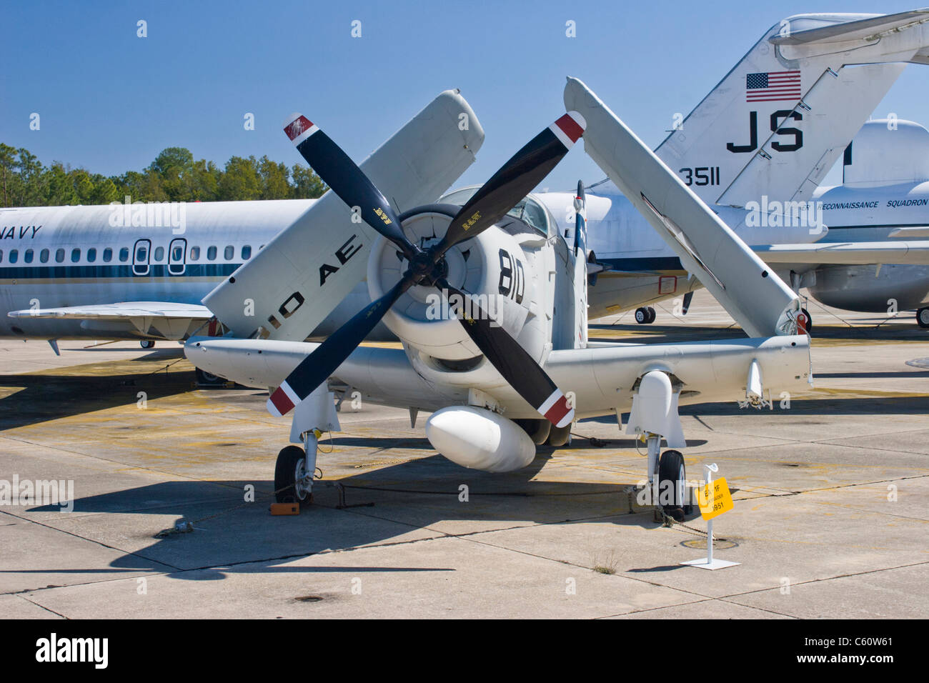 1951 Douglas EA-1F Skyraider aircraft at the Naval Air Museum in ...