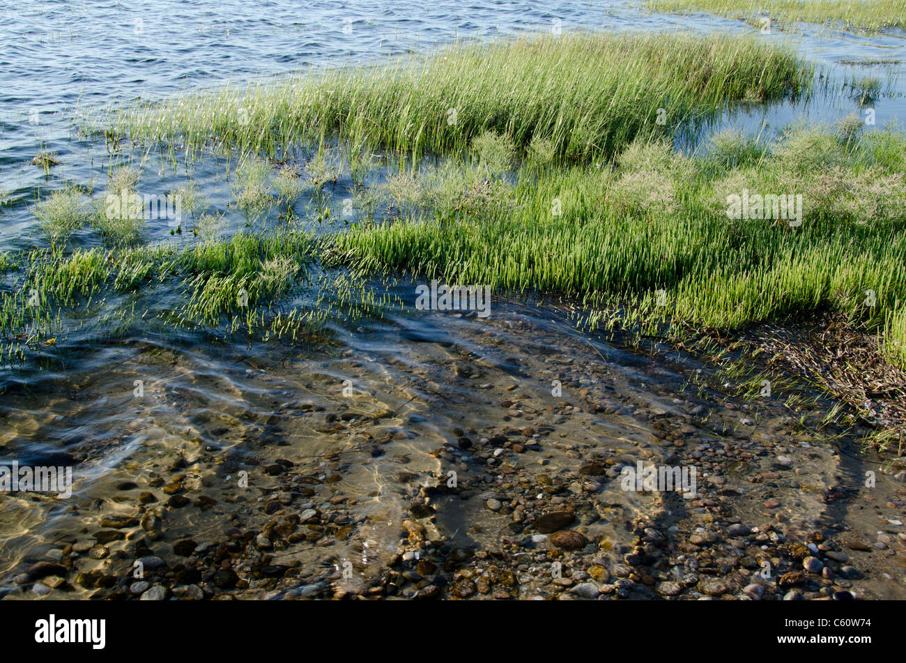 Usa massachusetts elizabeth islands cuttyhunk hi-res stock photography ...