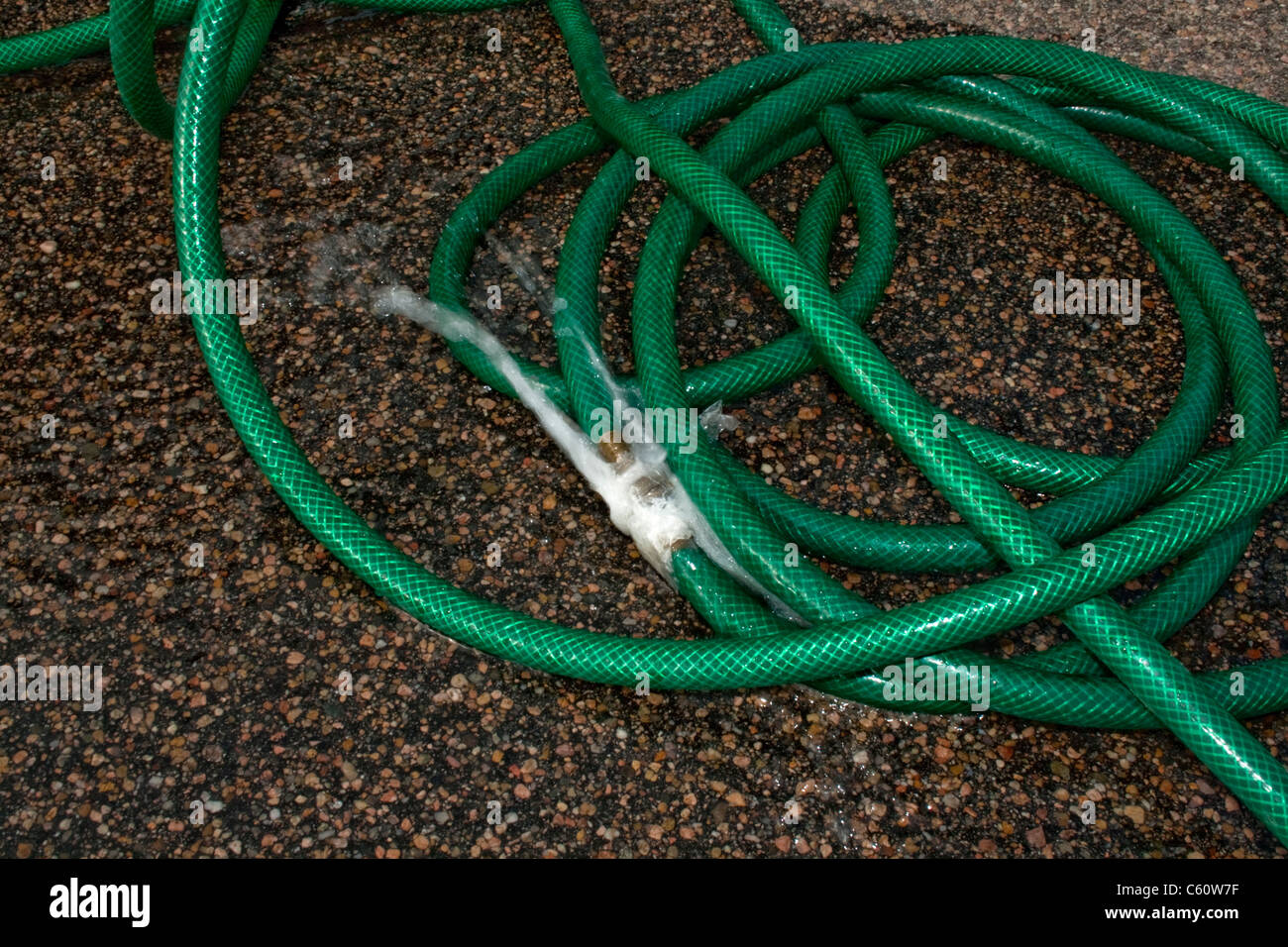 Garden hose with leaky fitting, spraying water on wet pavement Stock ...