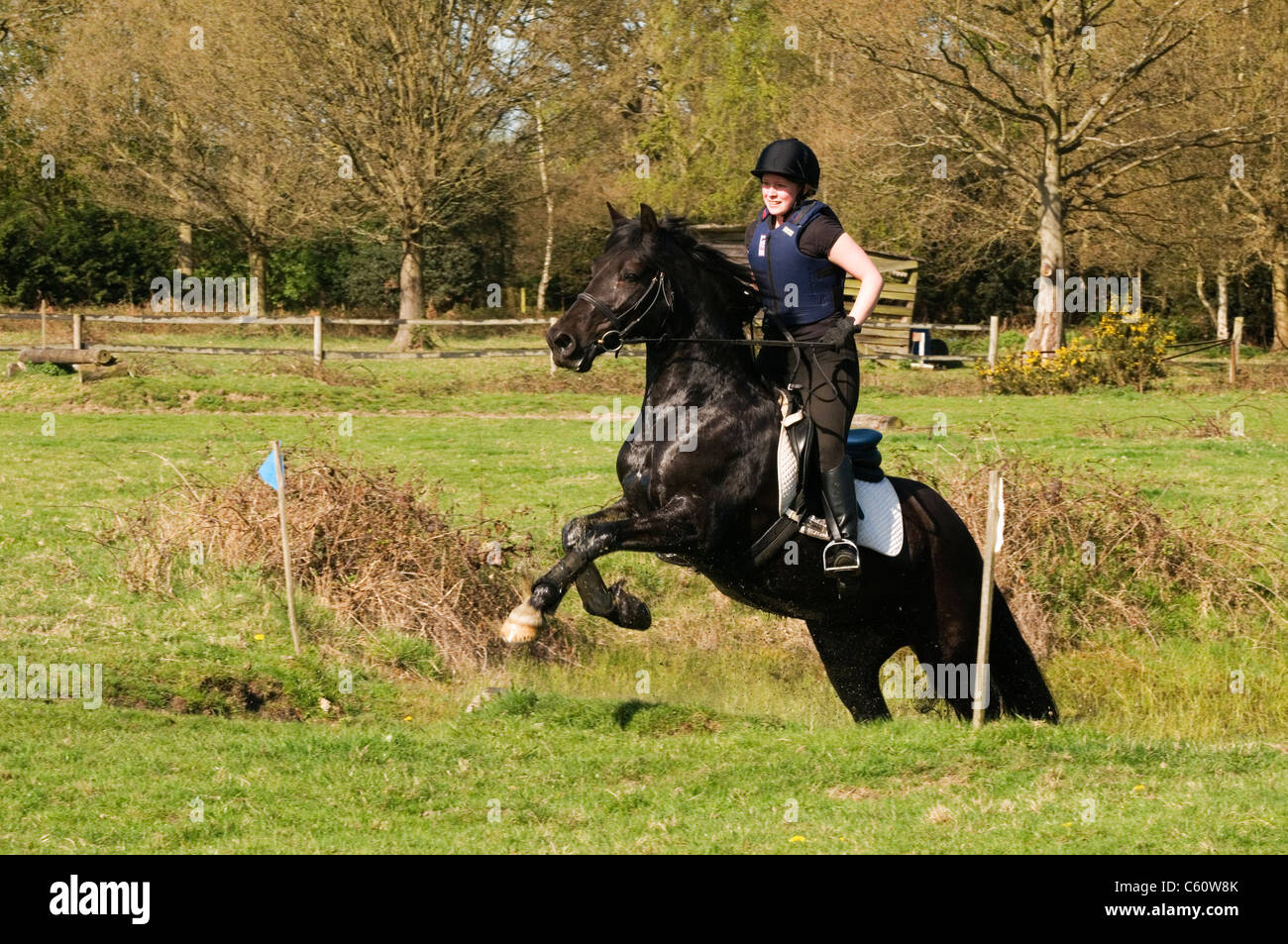 Horse and Rider Cross Country Event Chobham Surrey England UK Stock ...