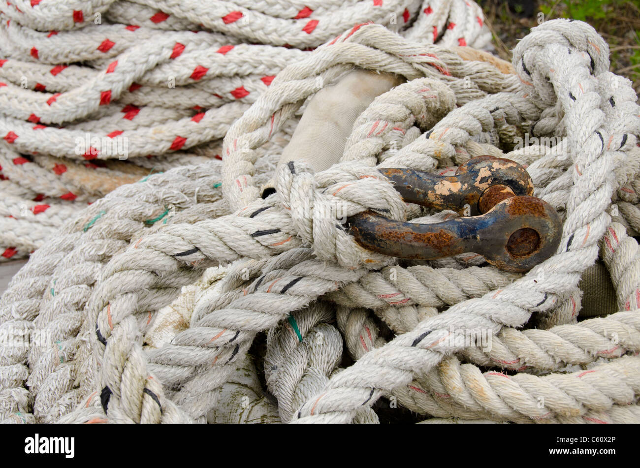 Massachusetts, Martha's Vineyard, Vineyard Heaven. Boat rope on dock ...