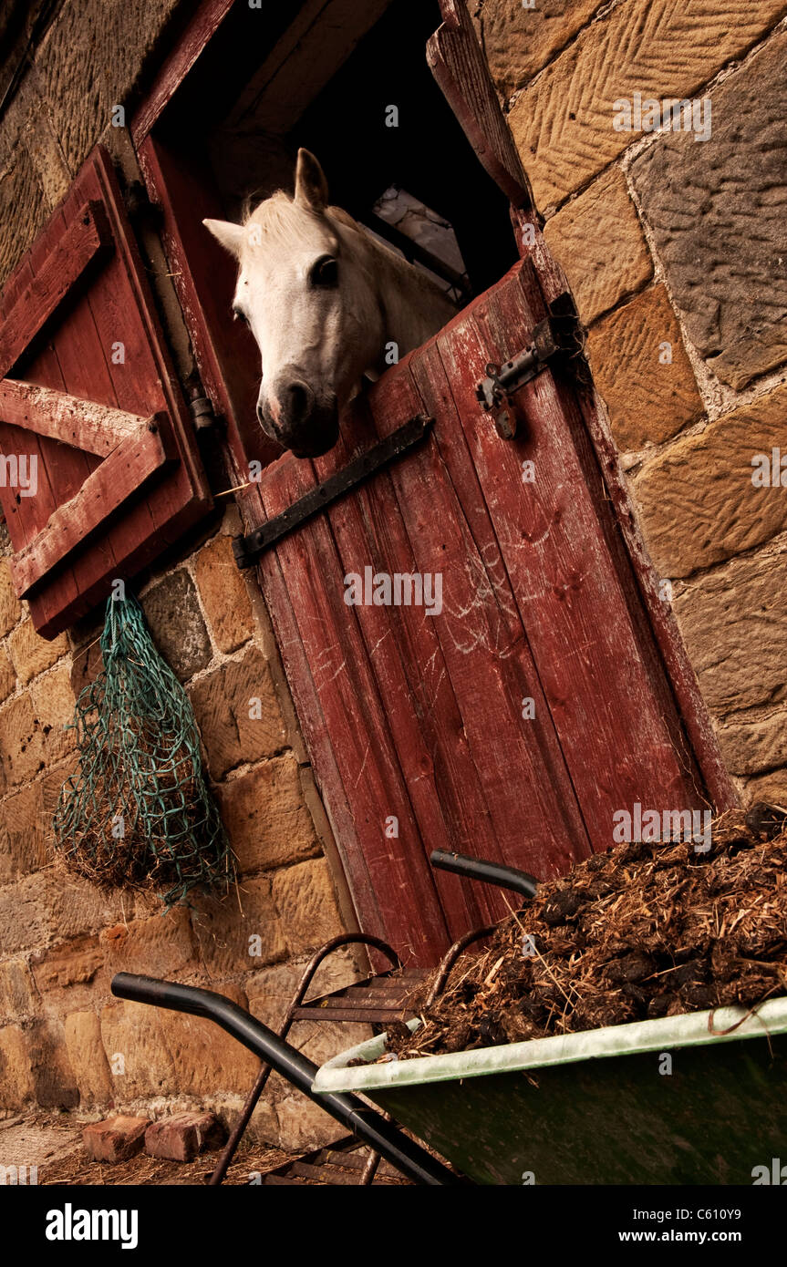 Brick stables hi-res stock photography and images - Alamy