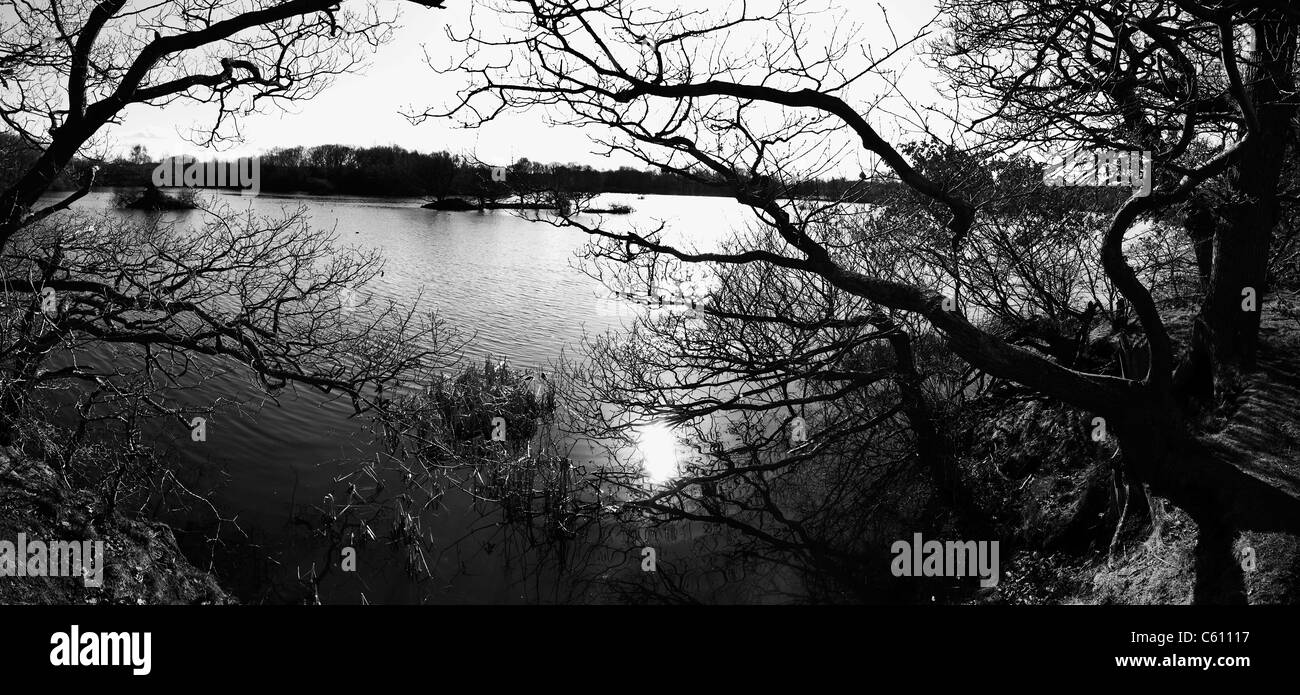 Dark waters hi-res stock photography and images - Alamy
