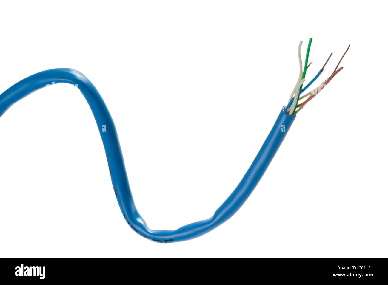 Cut network cable isolated on white background Stock Photo - Alamy