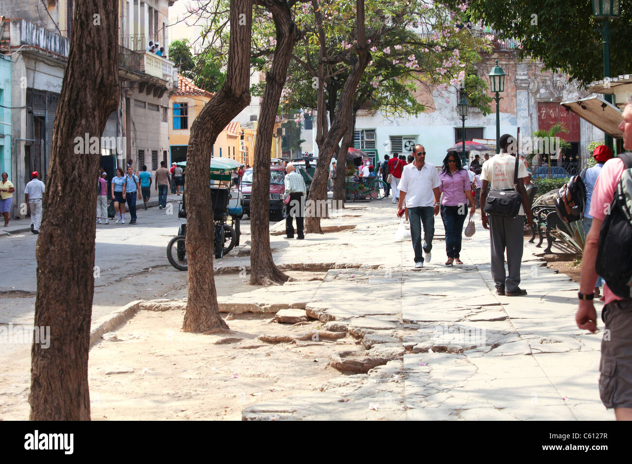Concrete poverty dangerous urban city capital roots trees summer sunny ...