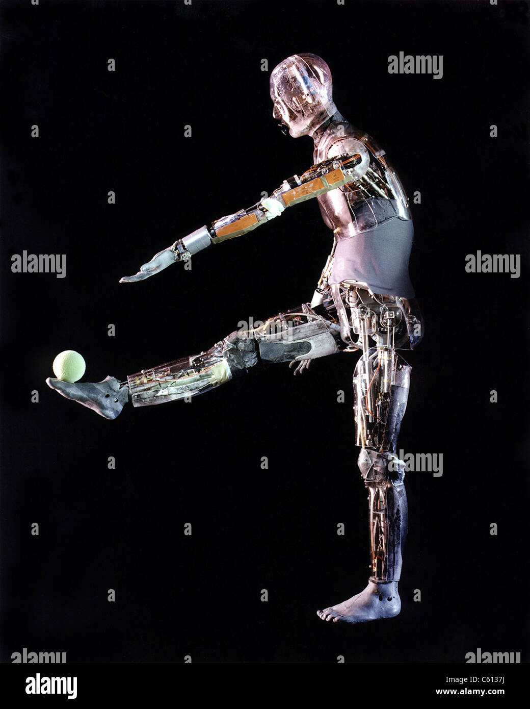 Anthropomorphic robot capable of simulating human movements and bio ...