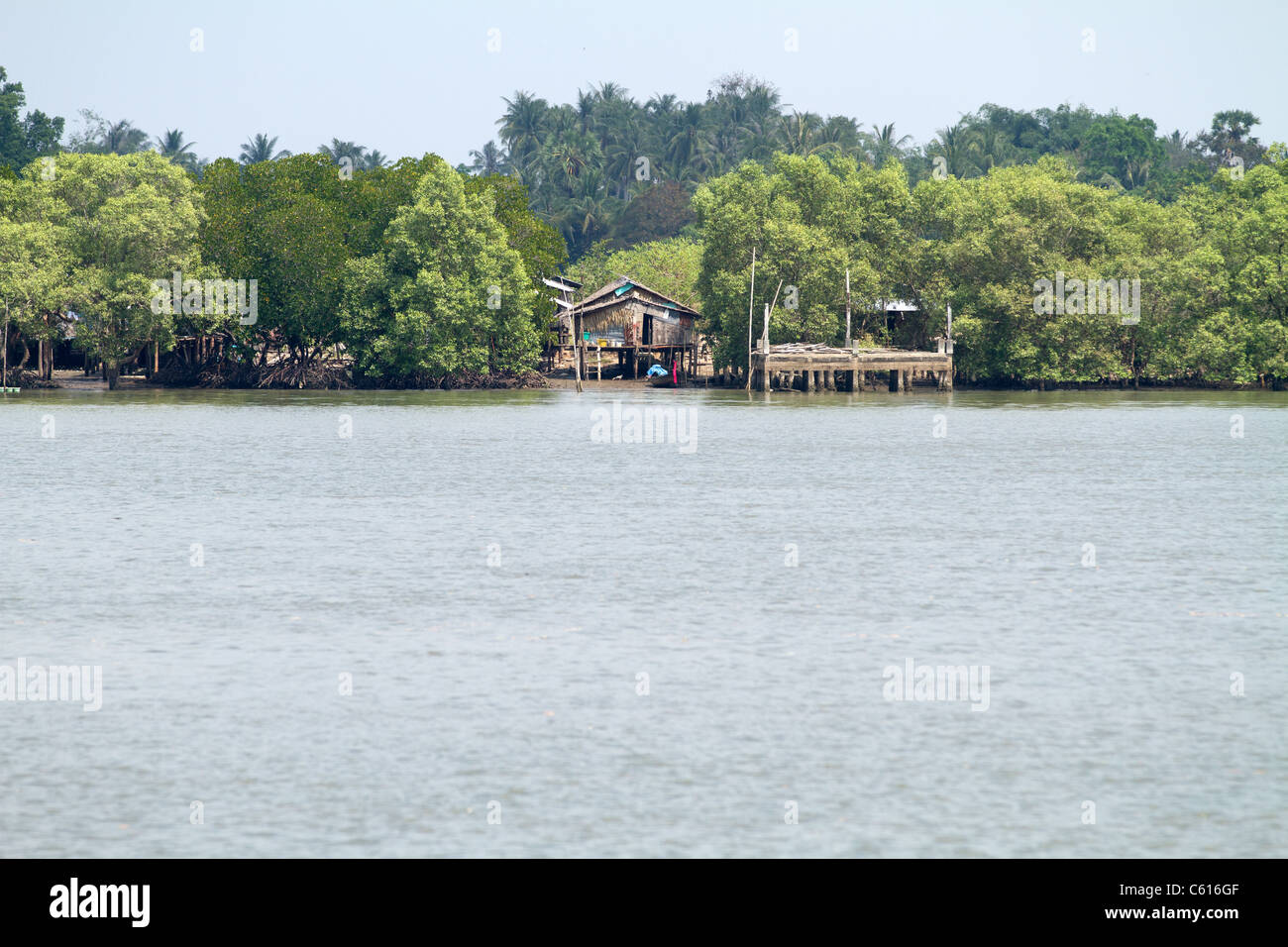 fisher wooden house among mangrove forest on krabi river bank, thailand ...