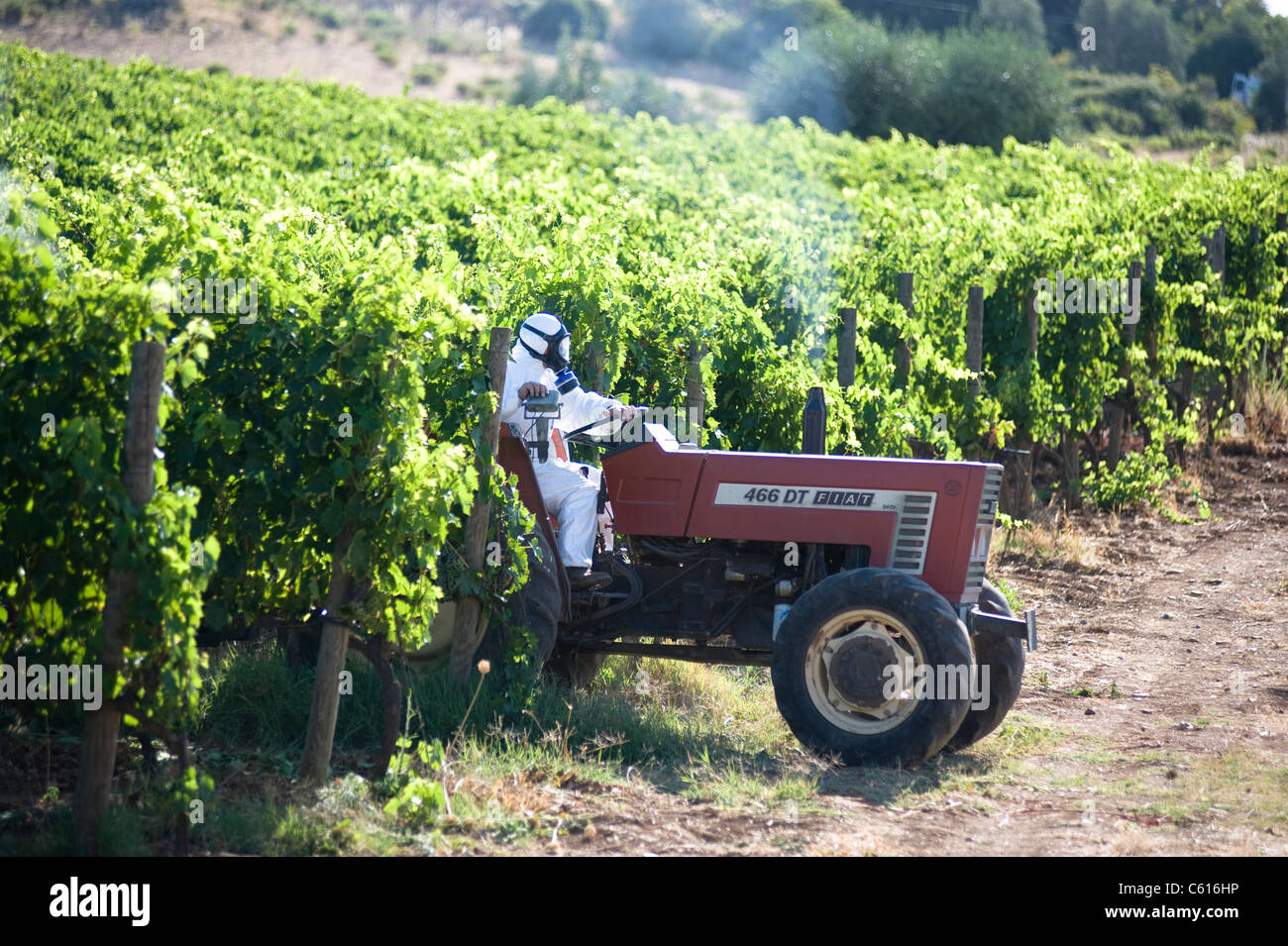 Vine tractor italy hi-res stock photography and images - Alamy