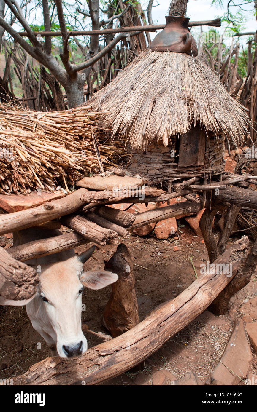 Traditional livestock enclosure at the village of Machekie, near Konso ...