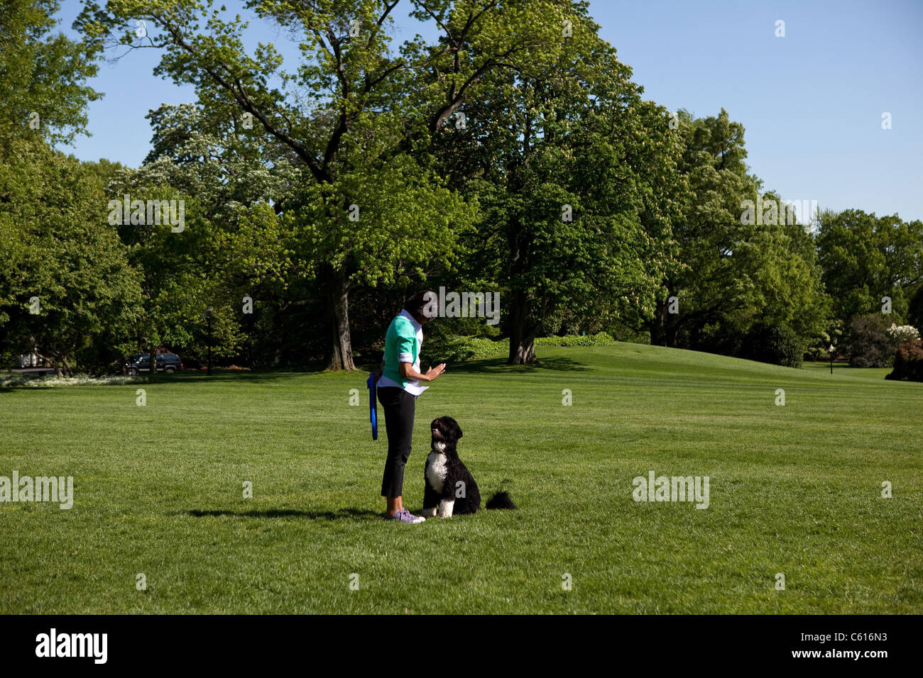 Bo obama dog hi-res stock photography and images - Alamy