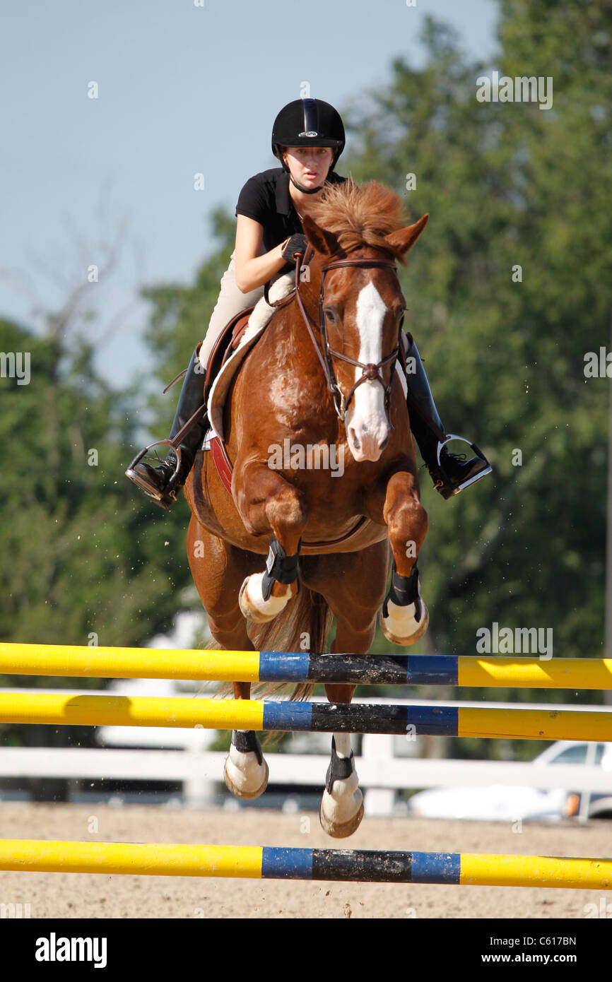 Show jumper hi-res stock photography and images - Alamy