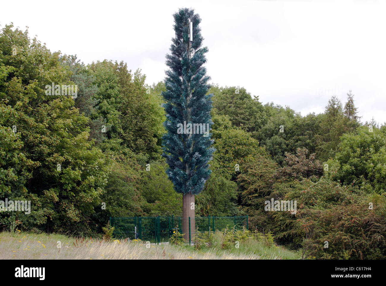 Hidden mast hi-res stock photography and images - Alamy