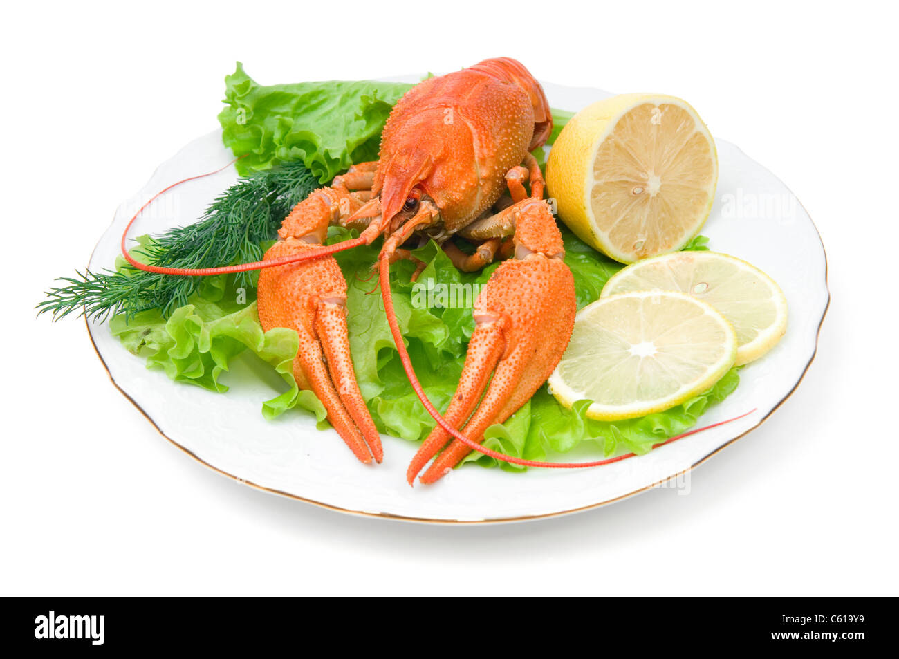 Crayfish seafood Cut Out Stock Images & Pictures - Alamy