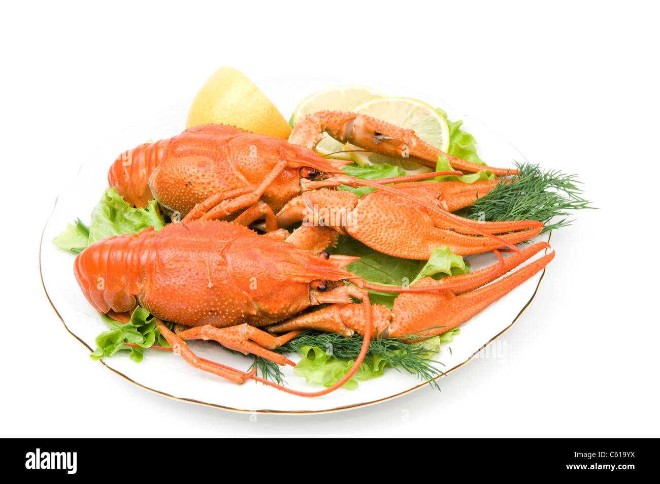 Crayfish as food hi-res stock photography and images - Alamy