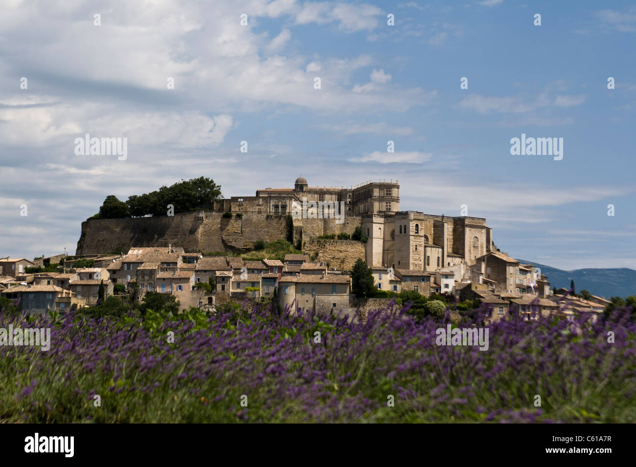 Grignan lavande france hi-res stock photography and images - Alamy