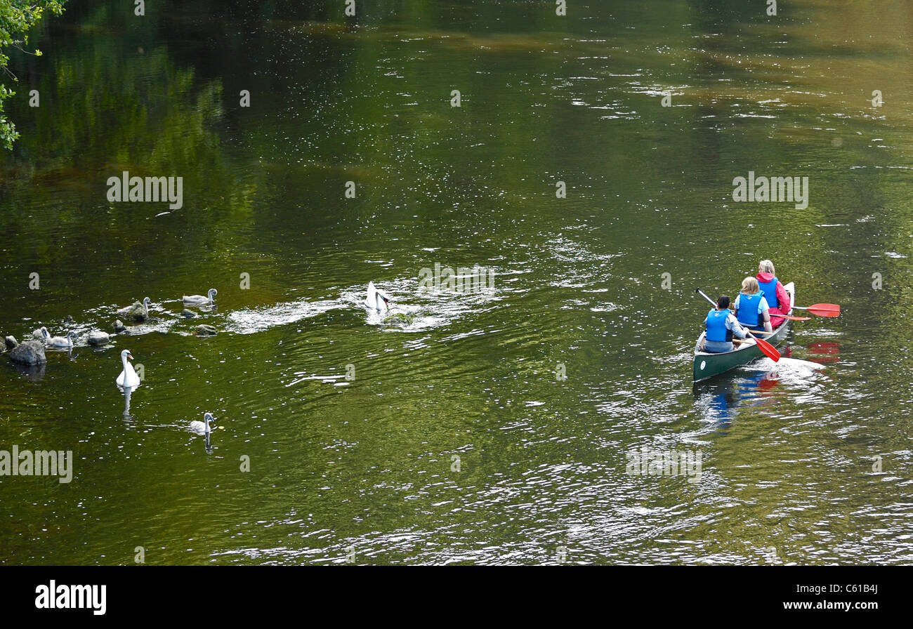 Adults canoeing down the river Wye in open type Canadian canoes Stock ...