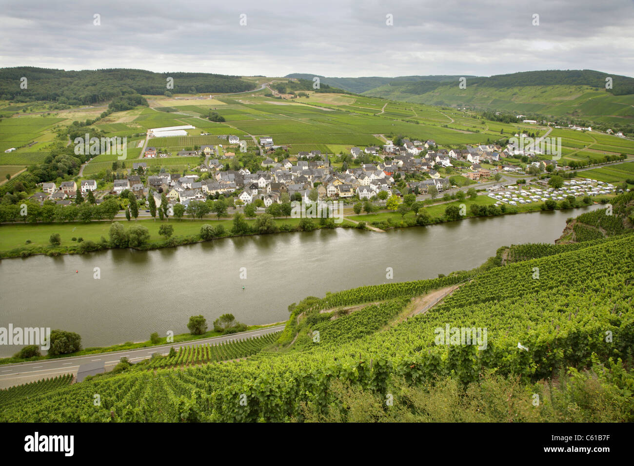 Mosel winegrowing region vineyards hi-res stock photography and images ...