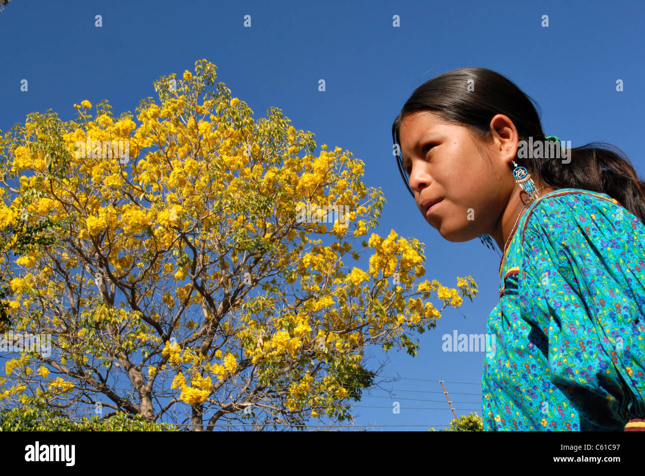 Indigenous people mexico hi-res stock photography and images - Alamy