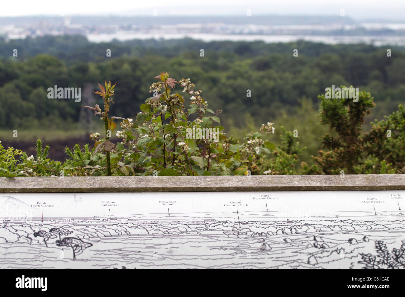 Map of the heath hi-res stock photography and images - Alamy