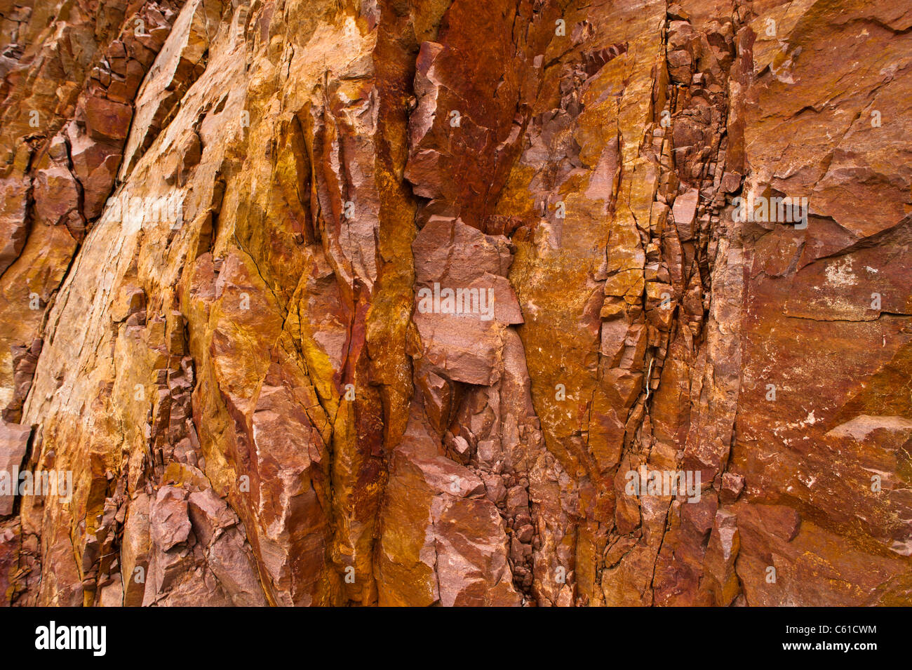 Yellowish-reddish rock wall in the Tonto National Forest. Arizona Stock ...
