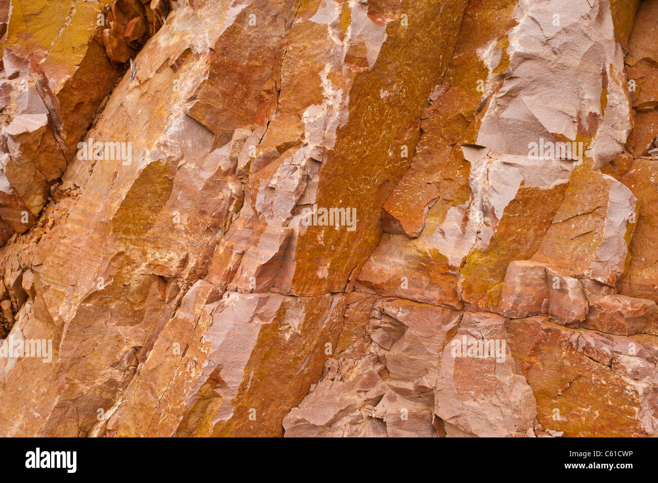 Yellowish-reddish rock wall in the Tonto National Forest. Arizona Stock ...