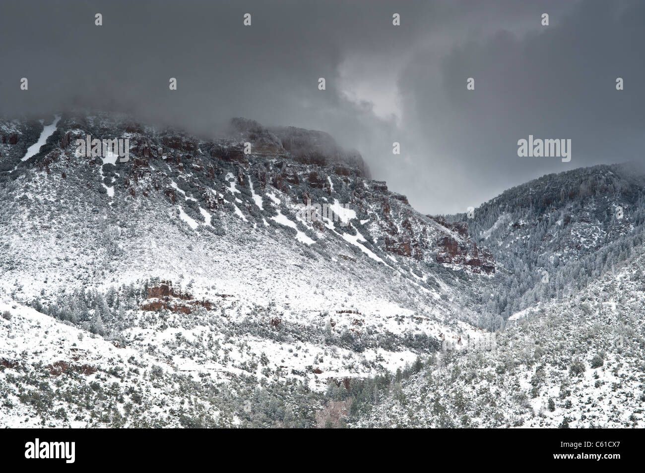 Heavy winter snow storm along the Sierra Ancha Wilderness area north of ...