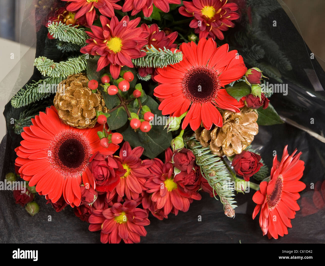 Christmas flowers hi-res stock photography and images - Alamy