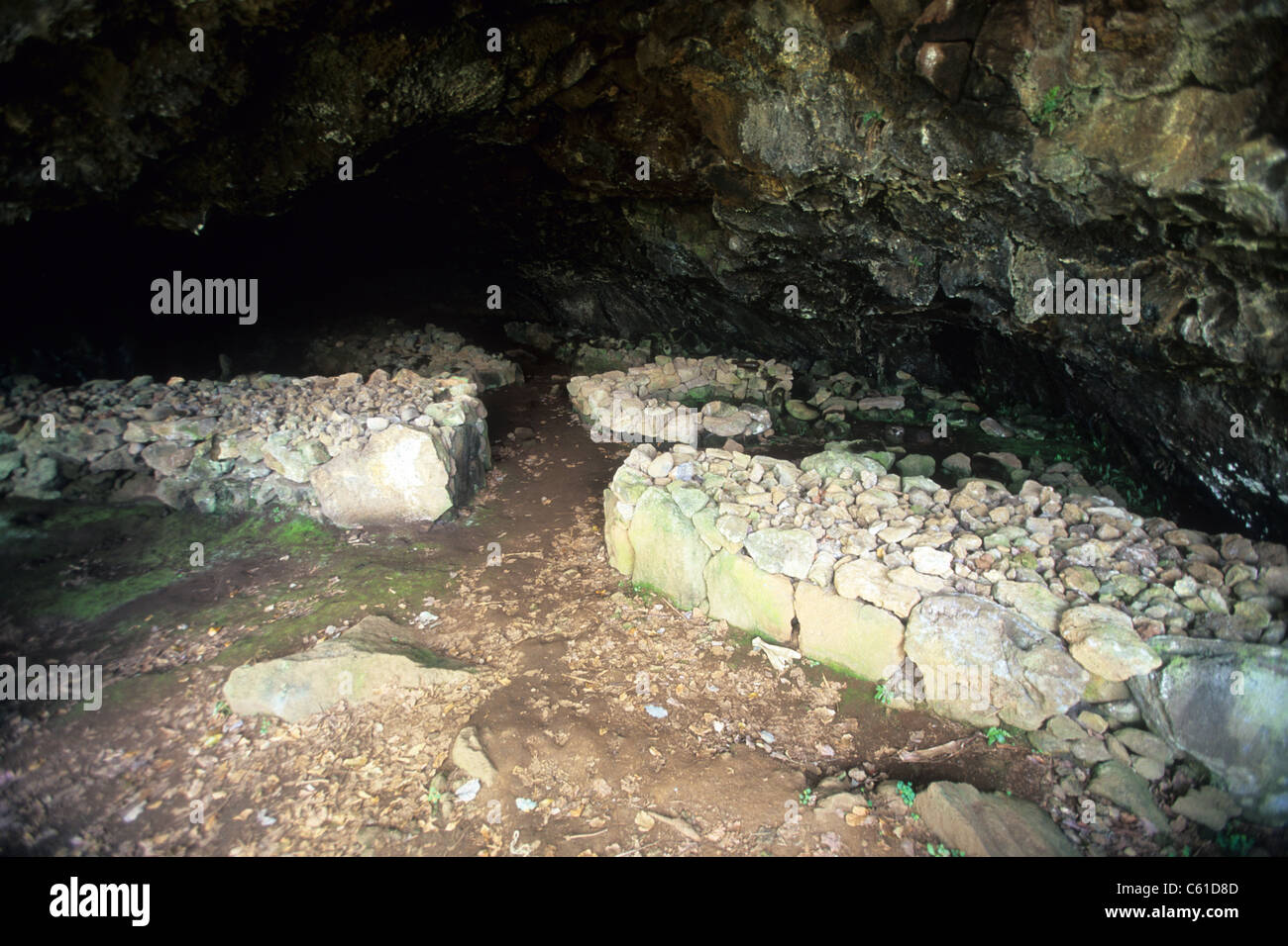 Pahu hi-res stock photography and images - Alamy