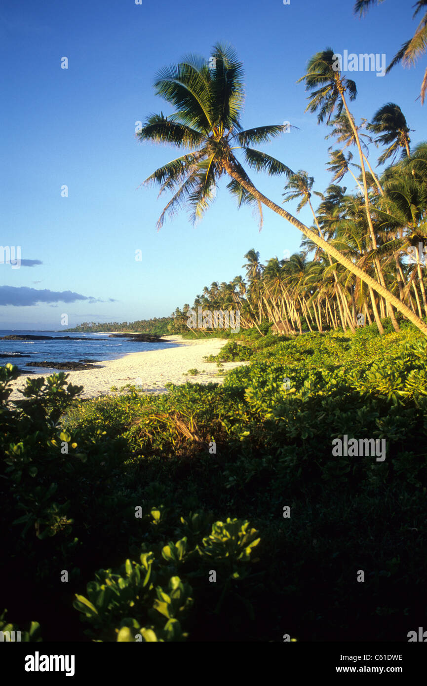 Samoa Savaii Stock Photos & Samoa Savaii Stock Images - Alamy