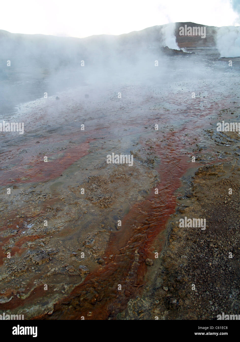 Colorful algae flow from El Tatio Geysers, Chile Stock Photo - Alamy