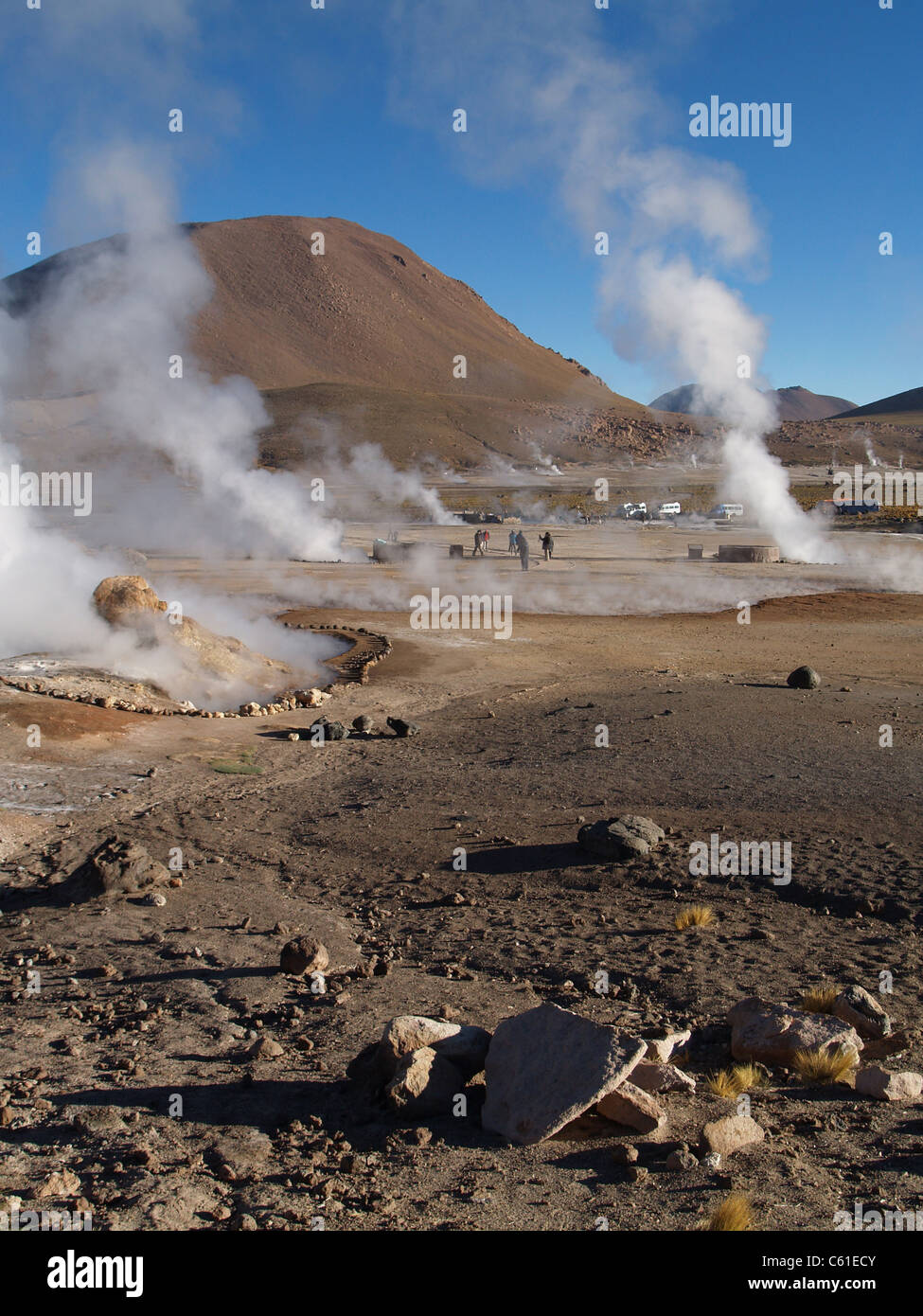 Steaming geysers at El Tatio Geysers, Atacama Desert,Chile Stock Photo ...