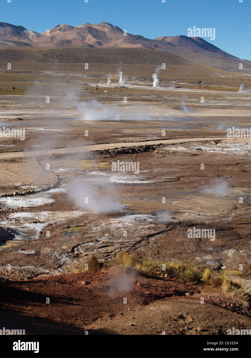 Steaming geysers,El Tatio Geysers,Atacama Desert,Chile Stock Photo - Alamy