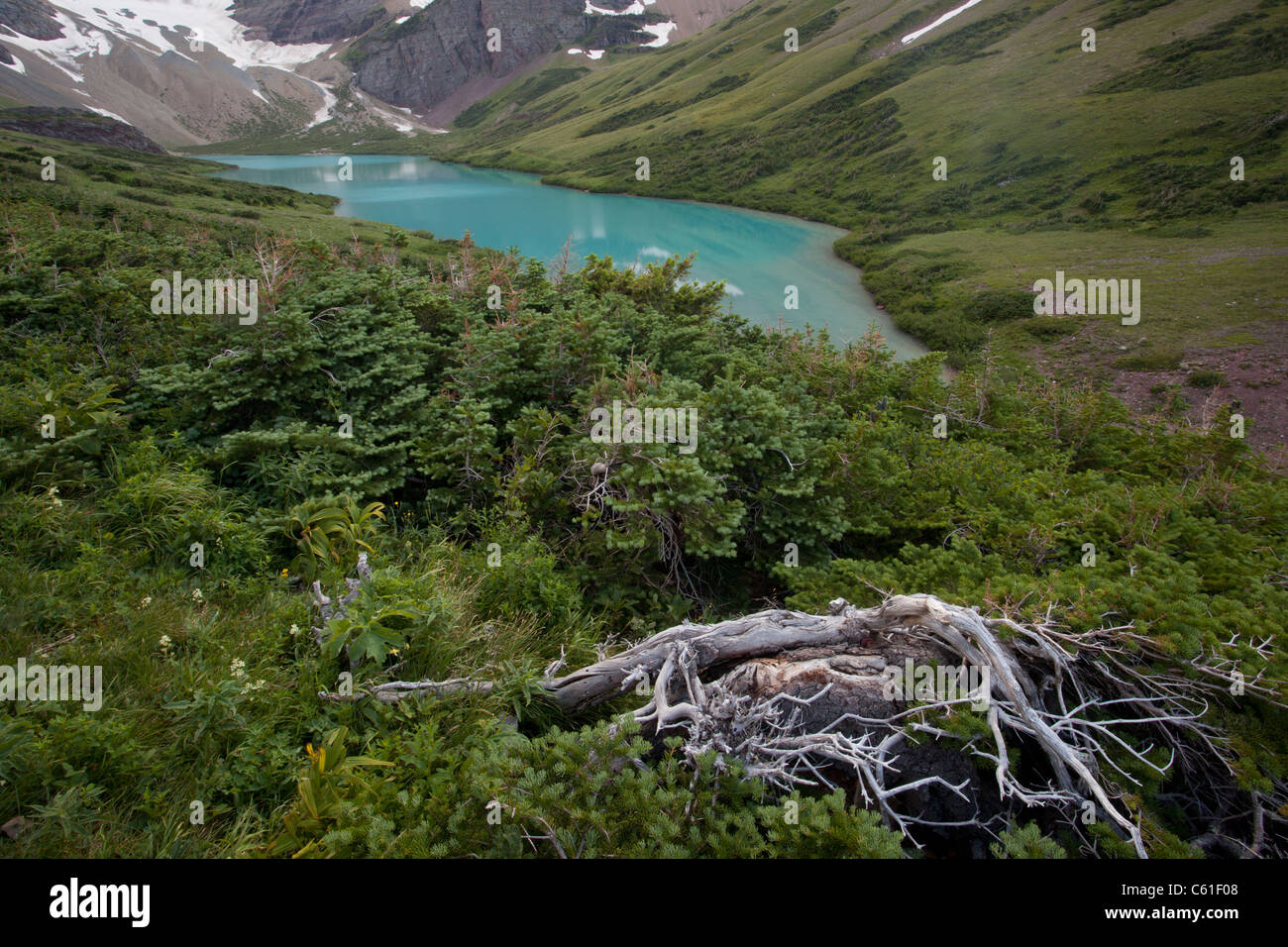 Cracker Lake at dusk, Glacier National Park, Montana, USA Stock Photo ...