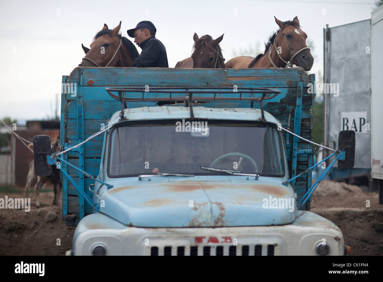 The Sunday animal market (Mal Bazaar) in Karakol, Kyrgyzstan Stock ...