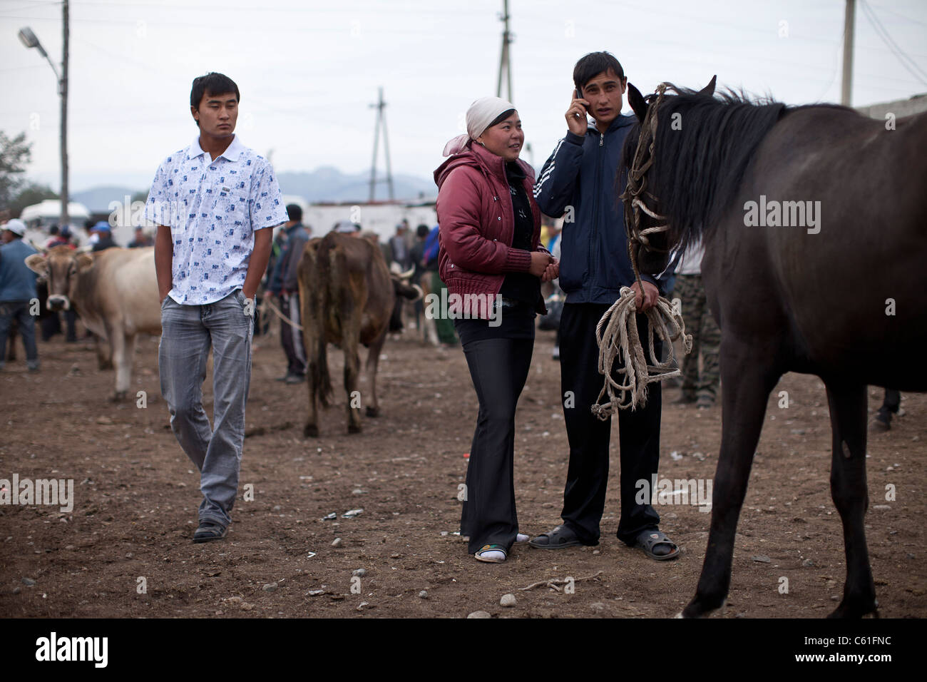 The Sunday animal market (Mal Bazaar) in Karakol, Kyrgyzstan Stock ...