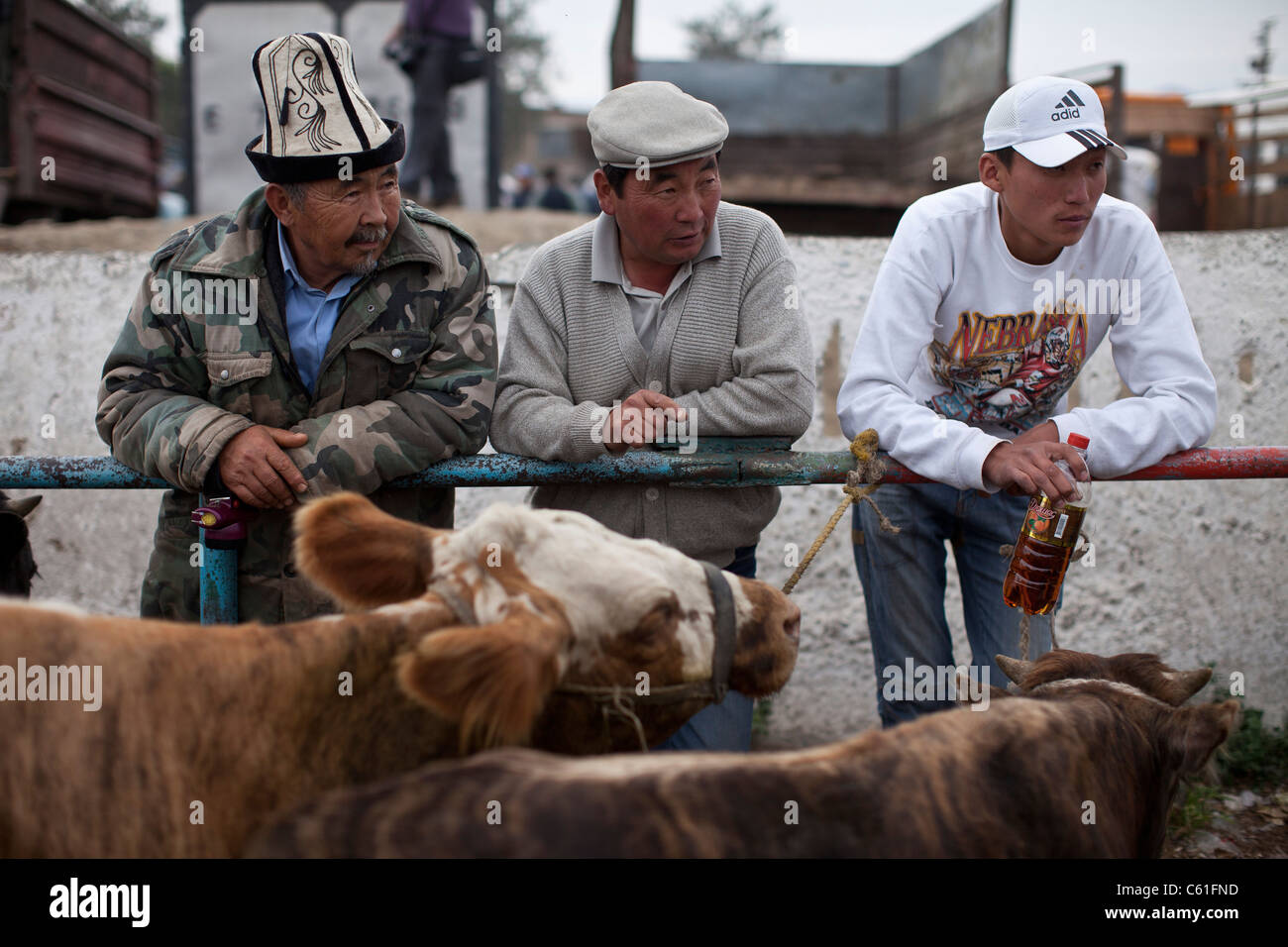 The Sunday animal market (Mal Bazaar) in Karakol, Kyrgyzstan Stock ...